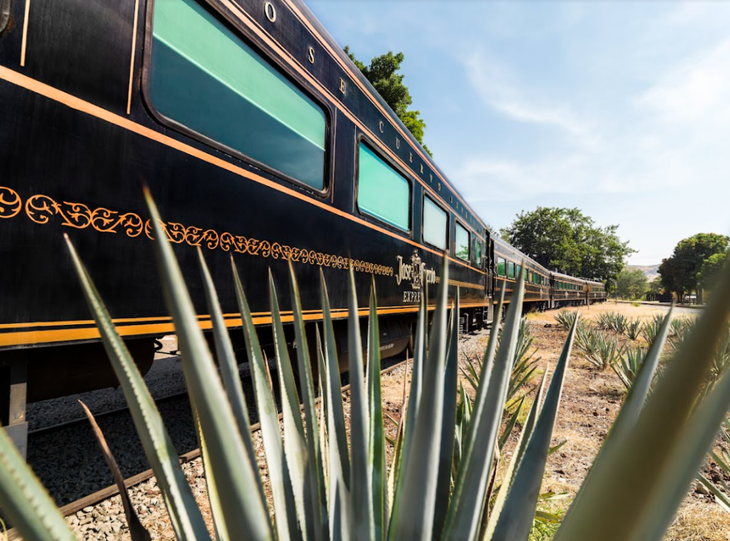 José Cuervo Express, el tren que si va a Tequila, celebra su 10 º ...